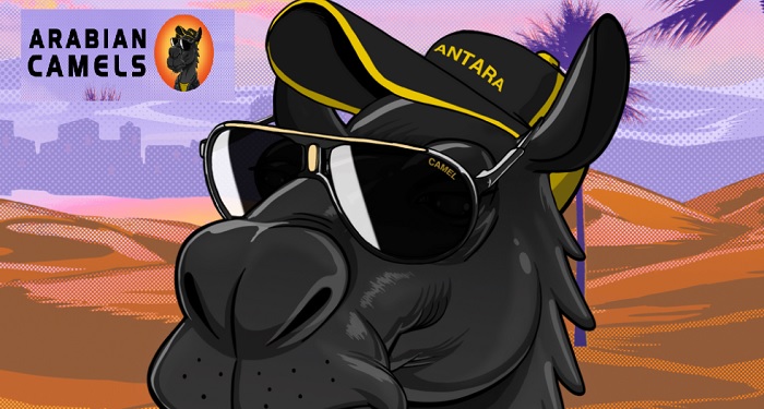 Arabian Camels partners with Swapp Protocol for first decentralized ...